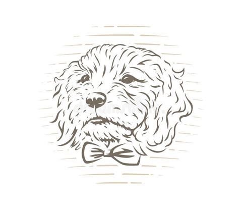 Cockapoo Coloring Pages