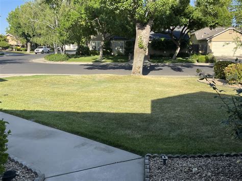 My Grass Looks Like Crap Rlawncare