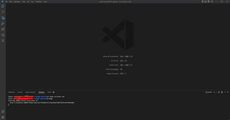 nengo gui not loading fully in browser possibly due to cors policy