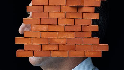 Opinion The Surprising Allure Of Ignorance The New York Times