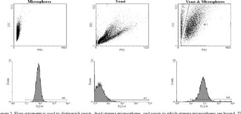 Figure 1 From Evaluation Of Relative Yeast Cell Surface Hydrophobicity