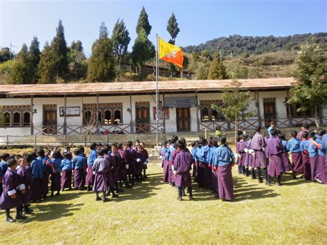 Joes Journal Samey Primary School
