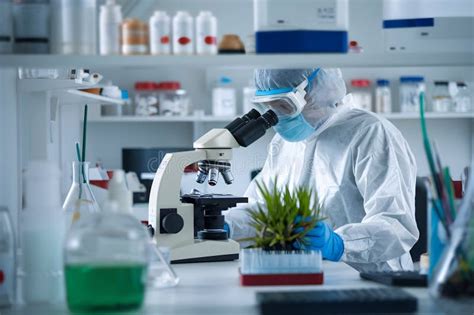 Laboratory Scene With Microscope And Green Plant Sample Indicating Laboratory Scene With Microscope And Green Plant Sample Indicating