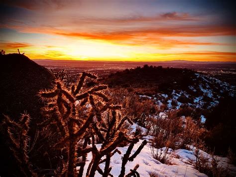 Smartersleep Teamsleepnumber Heather Kick Abrahamson