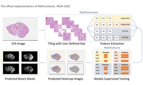 Large Scale Patch Wise Pathological Image Feature Dataset With A Hardware Agnostic Feature