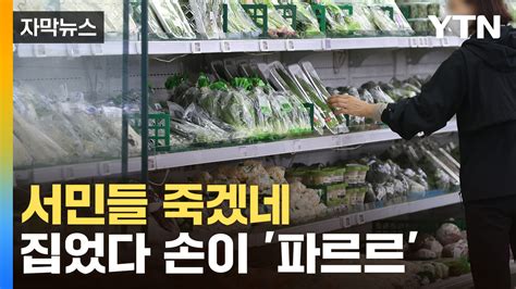 [자막뉴스] 어쩐지 살 것이 없더라 지갑 울리는 살인 물가 Ytn
