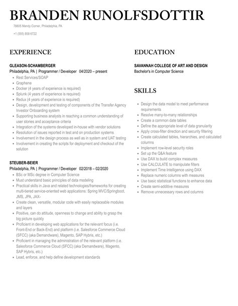 Programmer Developer Resume Samples Velvet Jobs