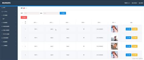 java毕设项目奢品网站系统（java vue mybatis maven mysql） csdn博客