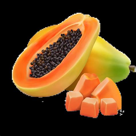 Papaya Gesundheitsvorteile Enzyme And Abnehmen Nährstoff Guide