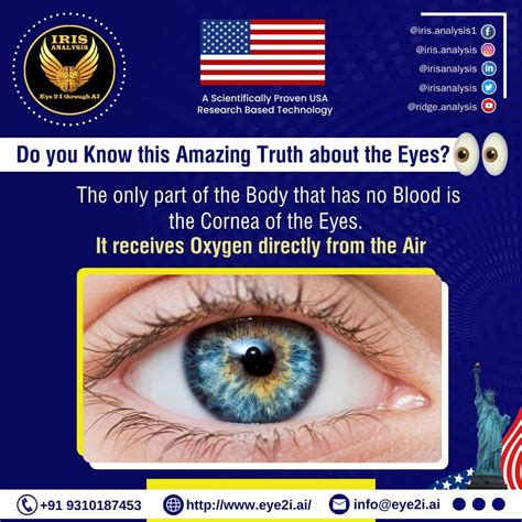 Iris Analysis On Linkedin Iris Eye Eyes Irises Irismittenaere Brain Neuroscience