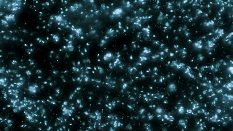 Sperm Microscope 400x