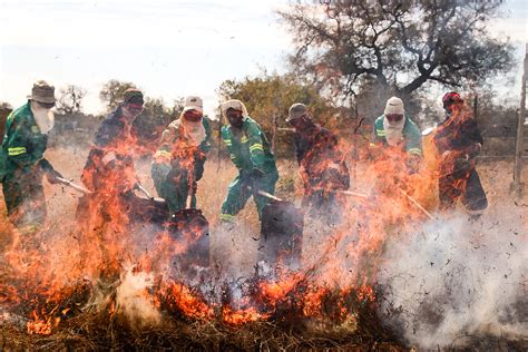 Firefighting Training
