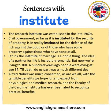 Sentences With Institute Institute In A Sentence In English Sentences