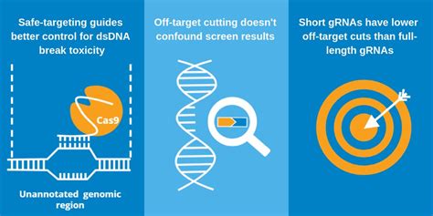 Controlling For Off Target Effects With A New Genome Wide Crispr Screen