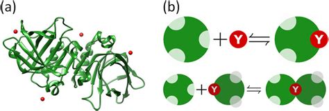 Illustrations Of The Ion Activated Patchy Particle Model Based On The