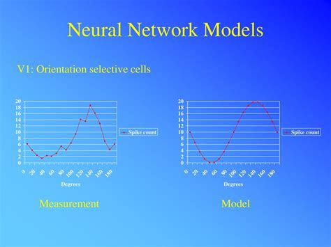 Neural Network Models In Vision Ppt Download