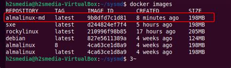 Run Almalinux Or Rocky Linux Docker Container With Systemd Systemctl