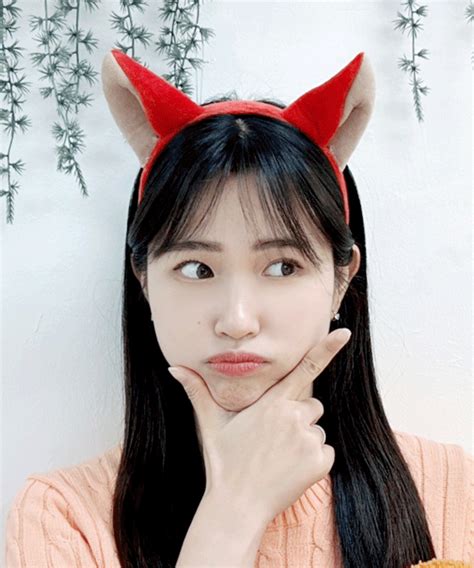 🚀15시당일발송🚀 여우 머리띠 헤어밴드 생일 파티 크리스마스 동물 체육대회 졸업 사진 놀이공원 에이블리