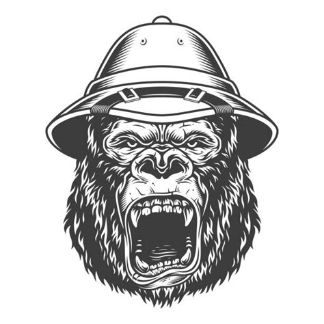 140 Gorilla Yell Illustrations Royalty Free Vector Graphics And Clip