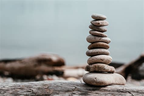 Mindful Self Compassion Teacher Training Center For Mindful Self