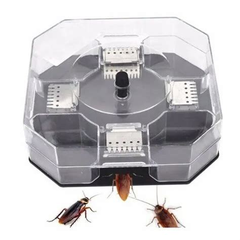 Plastic Black Cockroach Trap For Anywhere At Rs 95piece In Surat Id