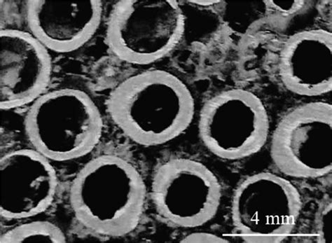 Section Of Silane Coupling Agent Modification Polyurethane Composite