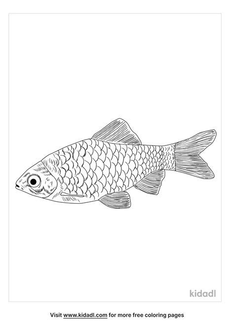 Demo Barb Examples Pylab Matplotlib Pyplot Py Example Code Pdf Axes