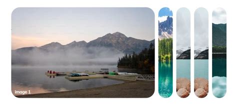 Kick Off 50 Day Frontend Challenge With Expanding Cards Pardeep Gill Posted On The Topic