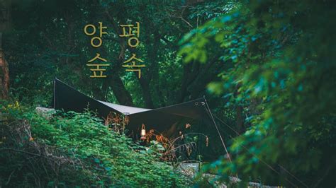 숲속 그늘 아래 완벽한 혼자만의 시간 솔캠 양평의 어느 숲속 Youtube