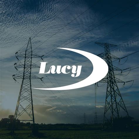Lucy Group Successful Implementation Of Oracle Hcm Cloud Version 1 Us