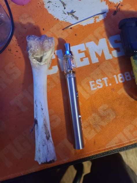 Axton virginia : r/whatisthisbone