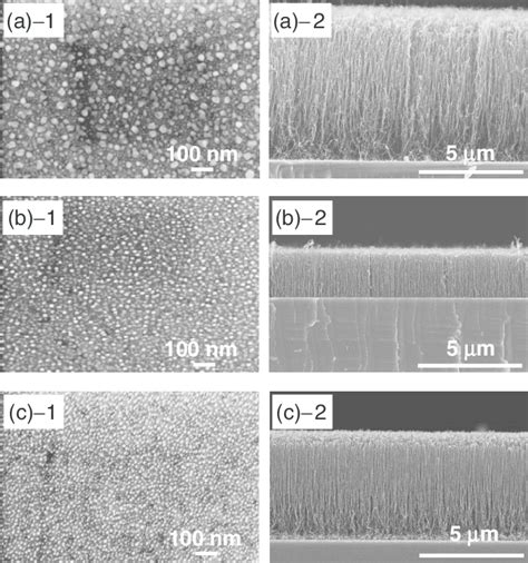 sem micrographs of catalyst surfaces after 4 min h 2 plasma