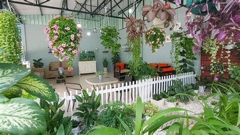 7 Tanaman Hias Terbaik Untuk Pagar Rumah Cantik