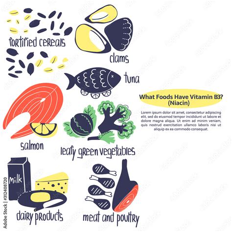 Hand Drawn Vitamin B12 Cobalamin Food Sources Concept Tuna Salmon