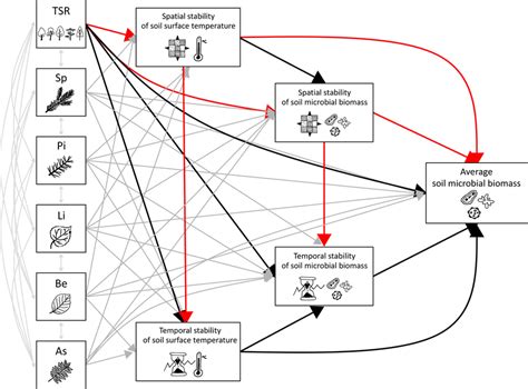 Conceptual Design Of Structural Equation Modeling Sem Paths By Which Download Scientific