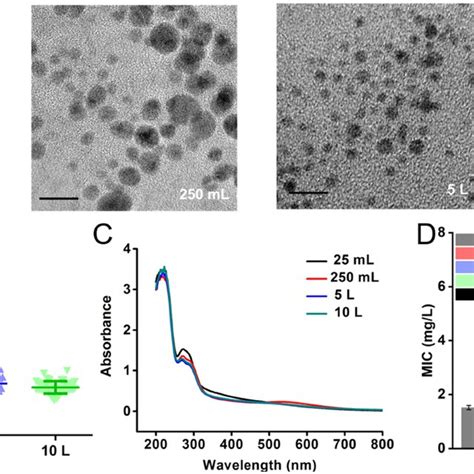 Effect Of Different Scales On The Properties Of Aunps A Tem Images