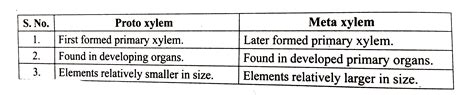 [tamil Solution] Differentiate Between Protoxylem And Metaxylem