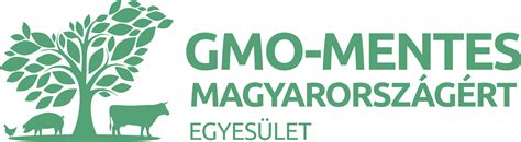 Nem Gmo Define Design Develop Maintain Digital Products Your