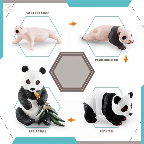 Panda Model 4 Stages Of Panda Playset Science Educational Toys Animal