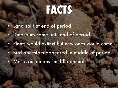 Triassic Time Period By Makenna Steffel