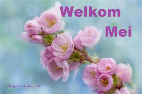 ᐅ 10 Mei Plaatjes En S Voor Whatsapp Bestekrabbels Nl