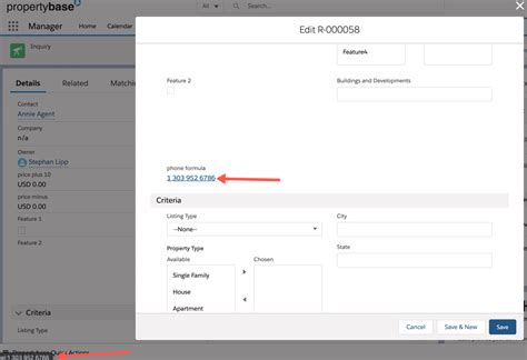 display data between objects propertybase salesforce edition