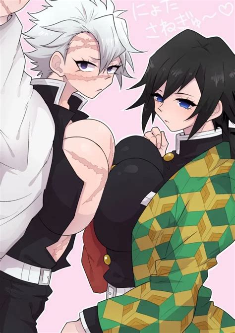 Sanemi Shinazugawa And Giyuu Tomioka
