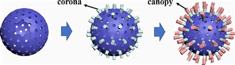 Schematic Procedure For The Preparation Of Sio2 Solvent Free Nanofluids