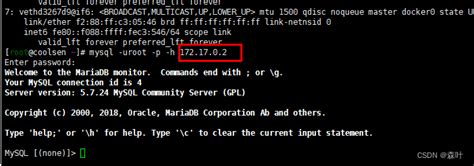 Docker 安装mysql 如何使用，遇到navicat连不上以及access Denied For User ‘root‘‘localhost‘ Using Password Yes