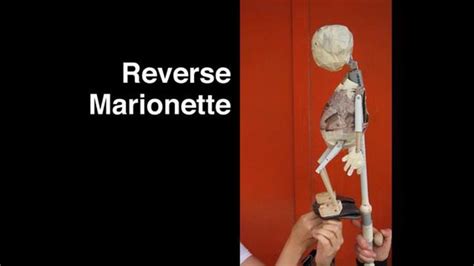 Clunk Puppet Lab Puppet Prototypes Puppets Puppetry Theatre Puppetry