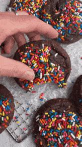 Candy Cookie Candy Cookie Rp  Candy Cookie Candy Cookie Rp