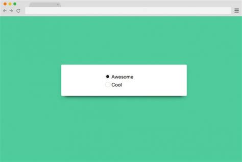 Pleasing CSS Radio Button Inspirations For Your Next Projects