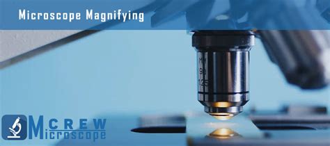 Difference Between Magnification And Resolution Microscope Crew