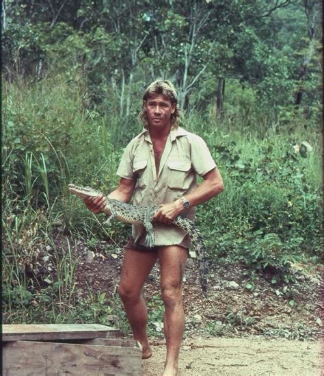 Steve Irwin Steve Irwin Young